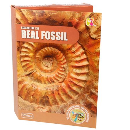 Excavation Kit - Real Fossils | Science | Mulberry Bush