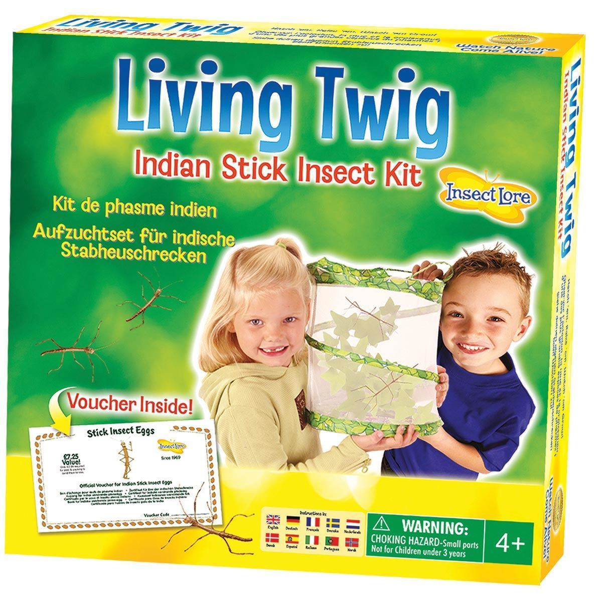 Stick Insect Kit | Exploring Nature | Mulberry Bush