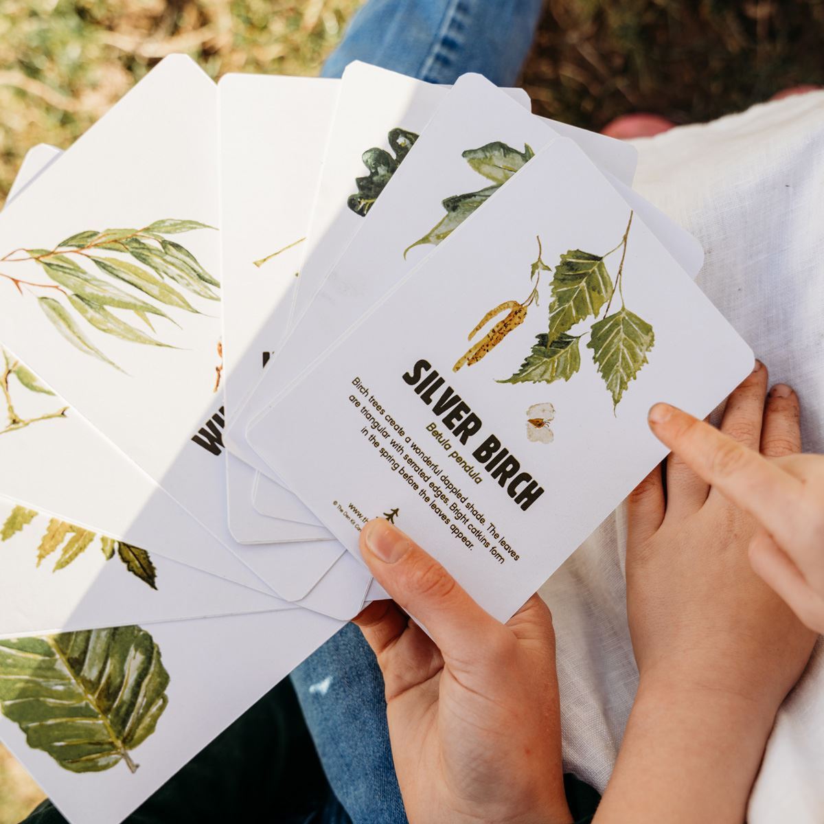 Plant a Tree Kit | The Den Kit Company | Exploring Nature