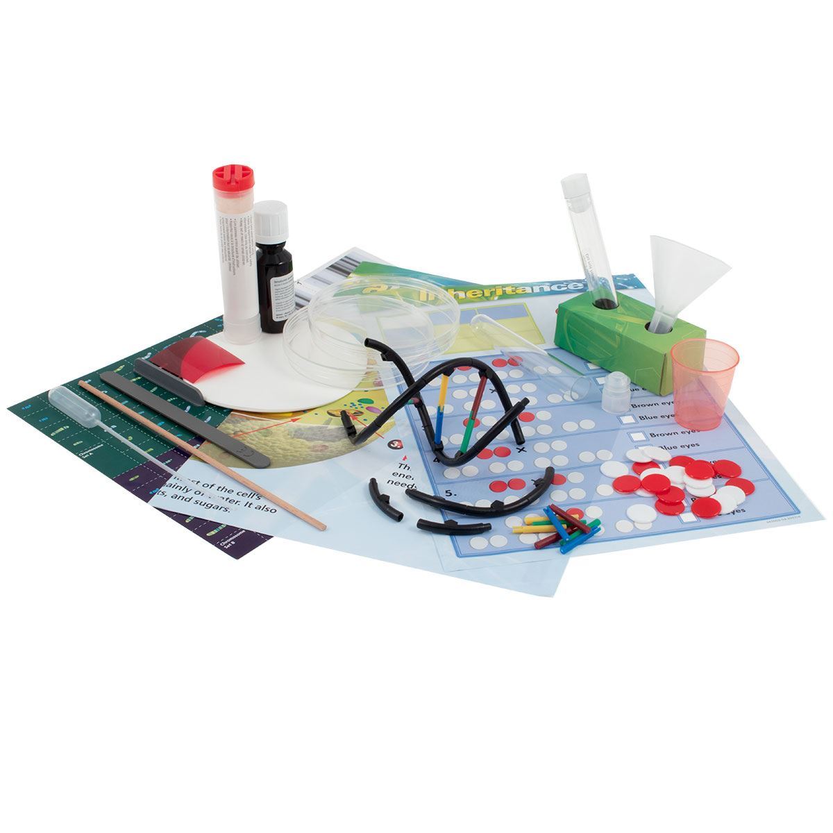 Genetics & DNA Lab | Thames & Kosmos | Science