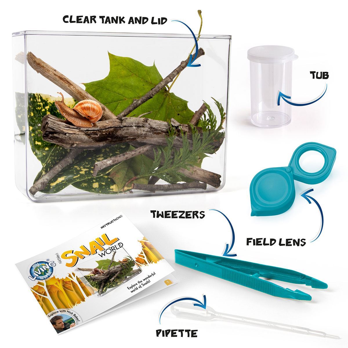 Snail World | Exploring Nature | Mulberry Bush