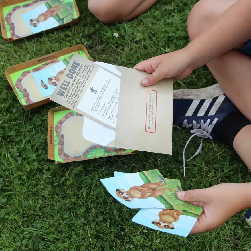 Trapped Escape Room The Zoo | Traditional Children's Games